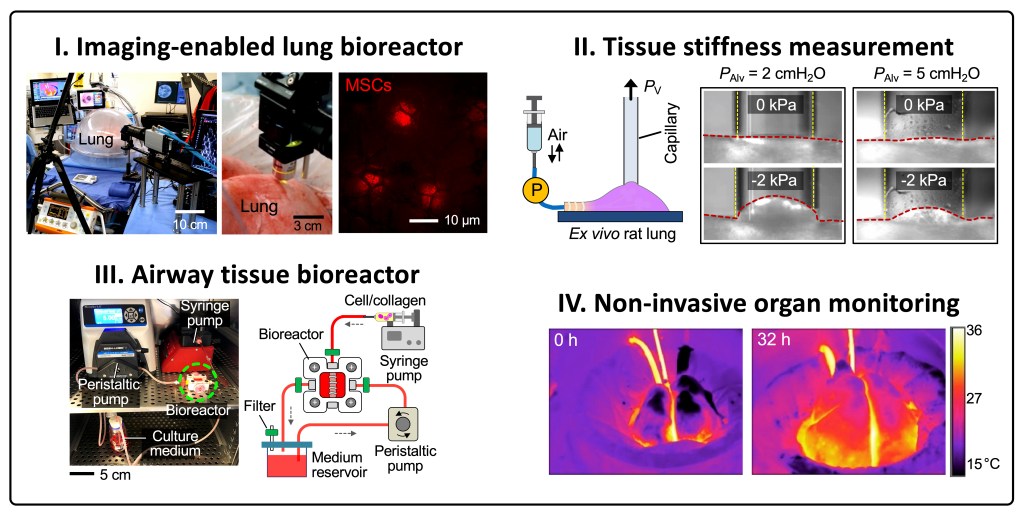 Translational Lung Bioengineering Lab